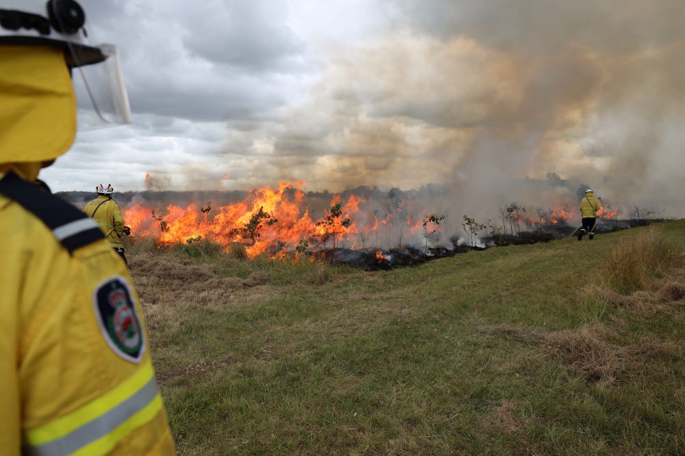 Abundant pastures spark grass fire risk