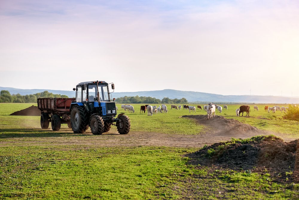 Insurance to suit you, and your farm - The Farmer Magazine