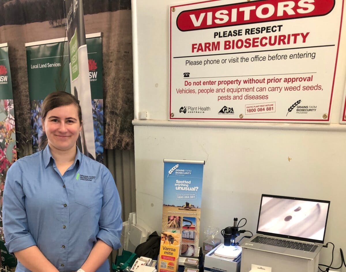 Spotlight on grain biosecurity