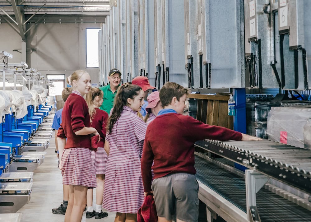 A new chapter for Kids to Farms project - Kids to Farms