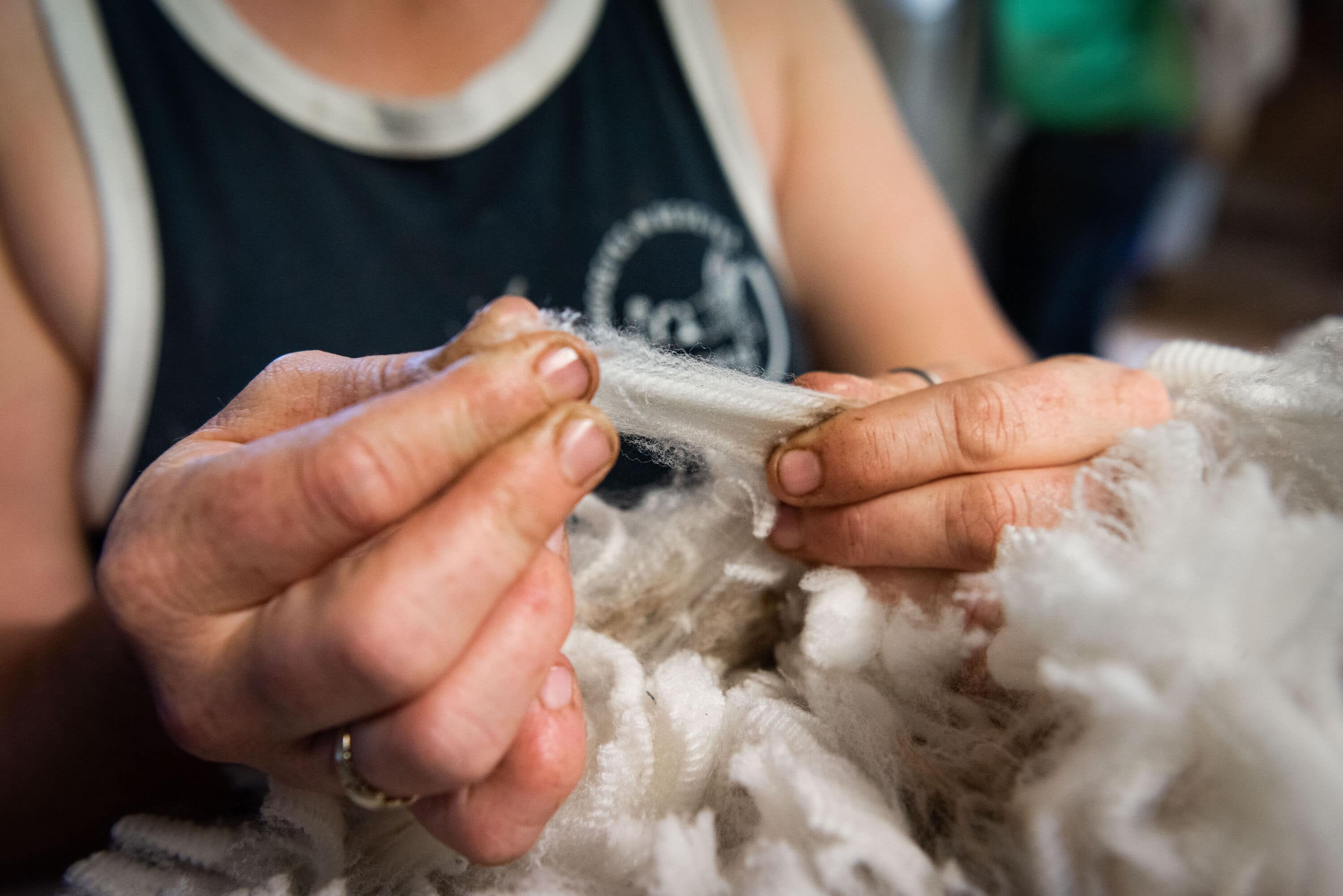 Gilgandra's champion wool classer
