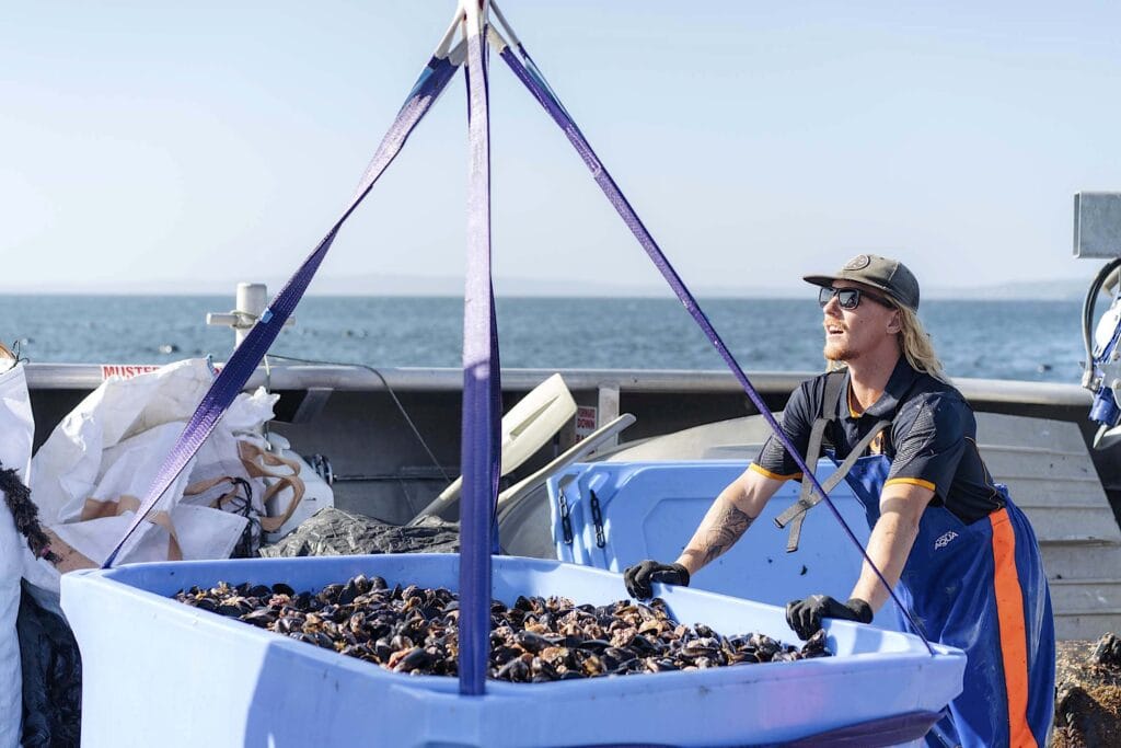 Developing mussels: spotlight on a unique NSW industry - The Farmer ...