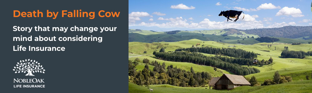 Unexpected true story: Death by falling cow - The Farmer Magazine