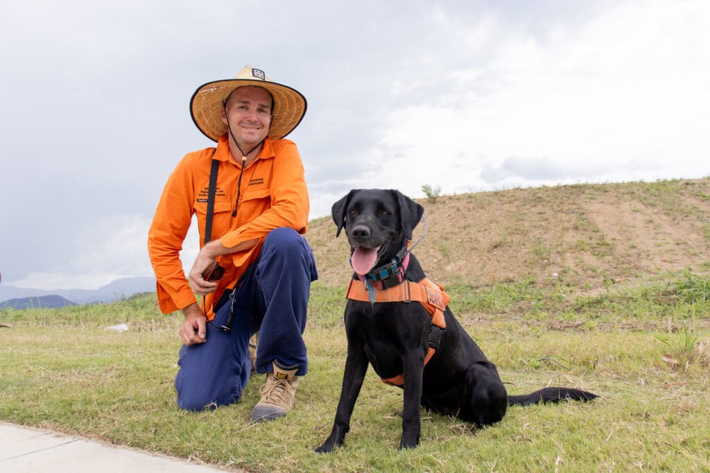 Detection Dogs fight the spread of Fire Ants - The Farmer Magazine