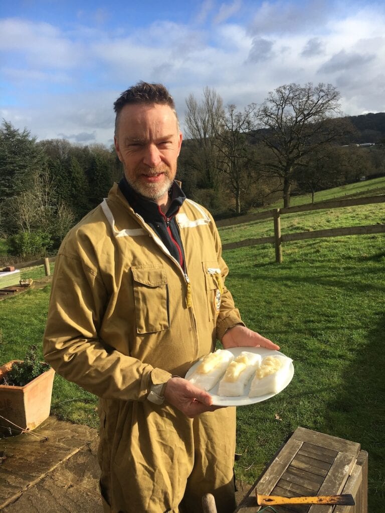 Bee Gym breakthrough in tackling Varroa mite - The Farmer Magazine