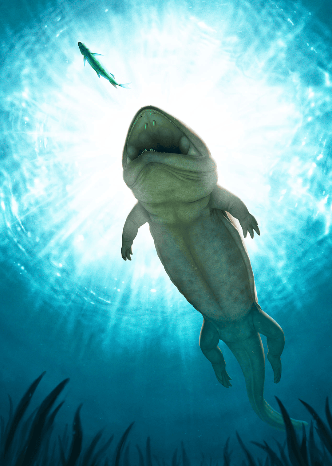 Ancient amphibian identified in Australia - The Farmer Magazine