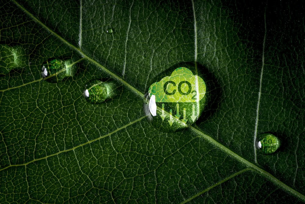 Ruminati: a farmer-led carbon emissions calculator - The Farmer Magazine